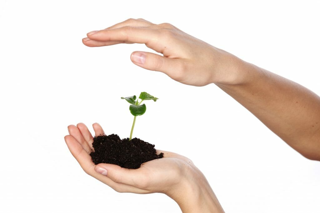 How to Prosper in Body and Soul | Take Back Your Temple | Christian ...