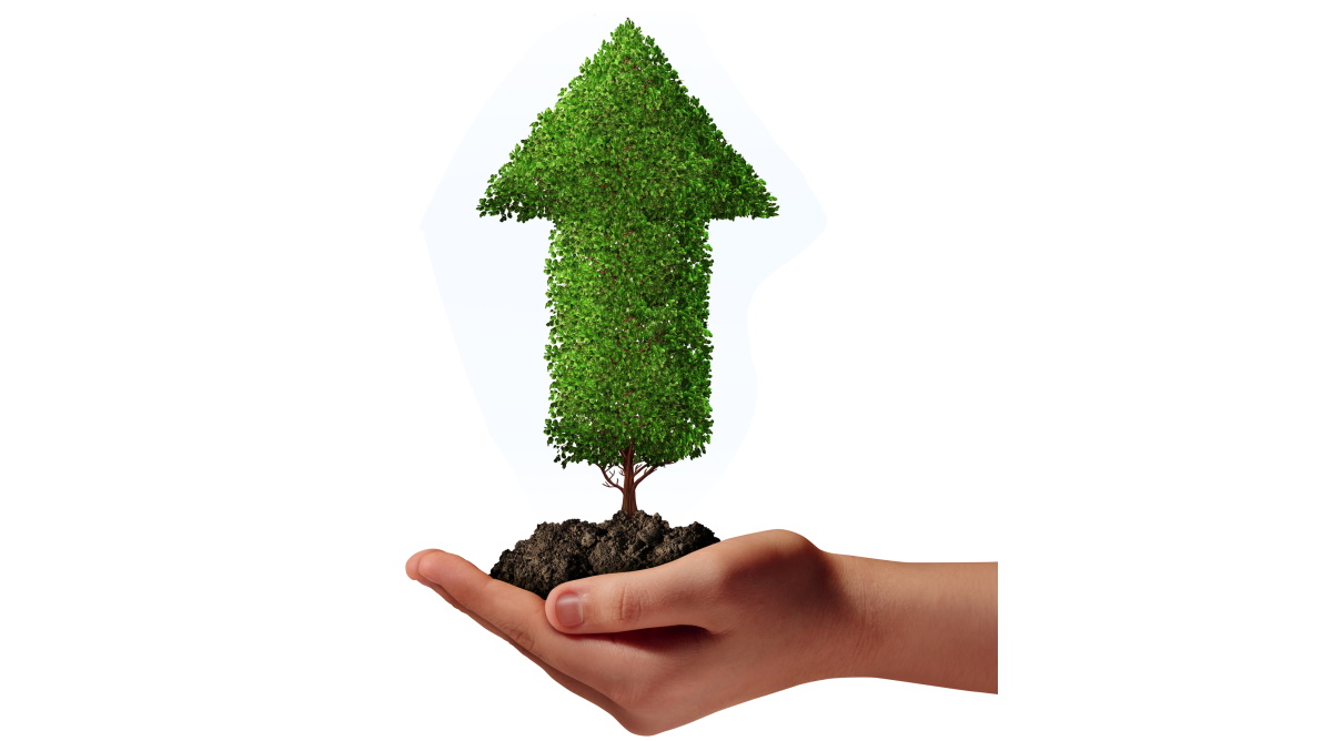 The Pattern to Prosper | Take Back Your Temple | Christian Weight Loss ...