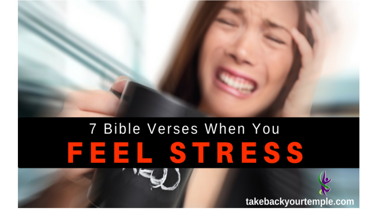 7 Bible Verses About Stress | Take Back Your Temple | Christian Weight ...