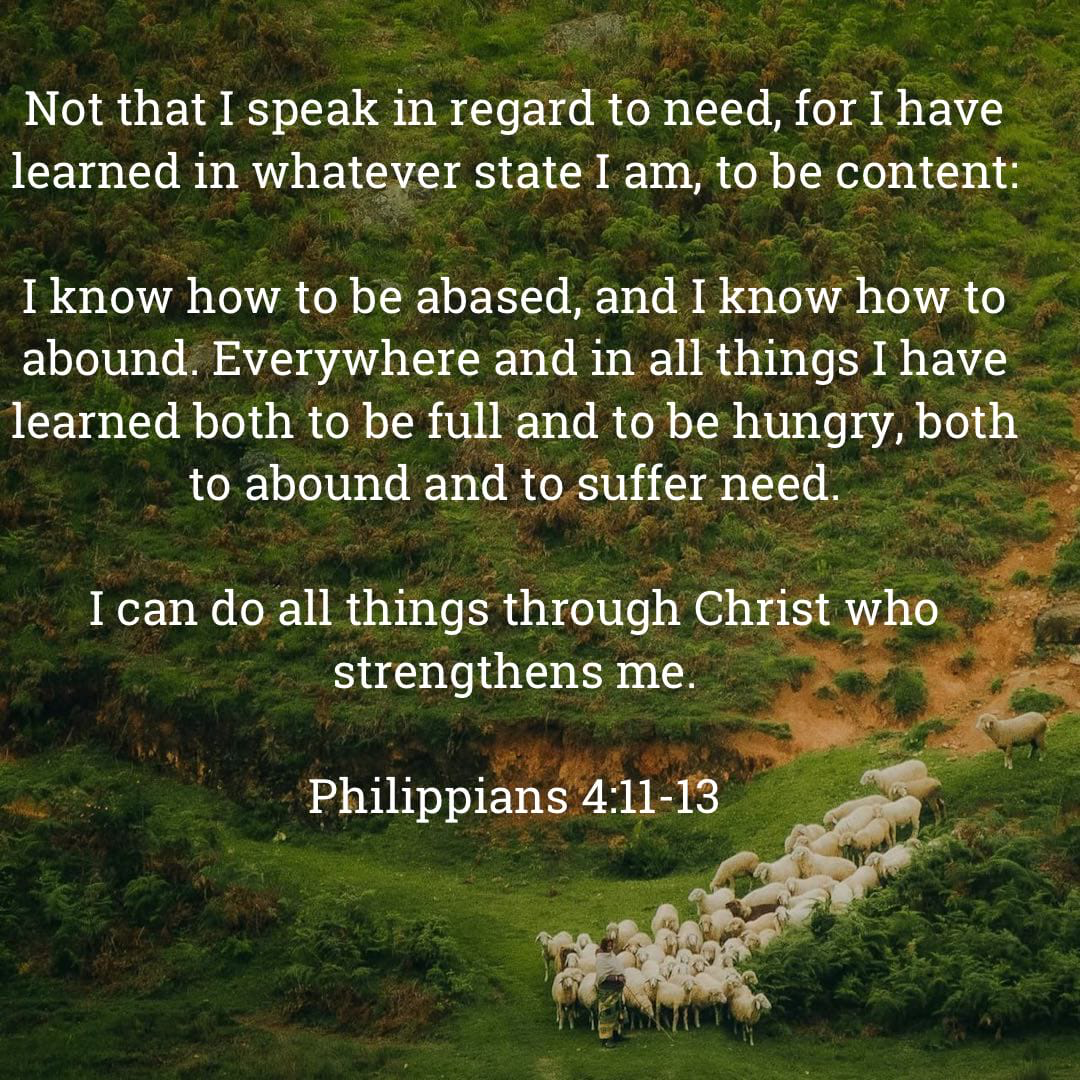 The State of Contentment | Take Back Your Temple | Christian Emotional ...